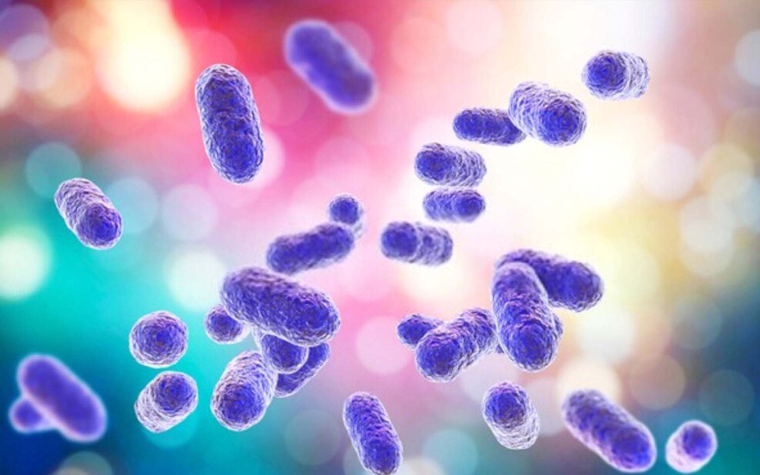 Anaerobic Tanks and the Principle of Using Microorganisms in Wastewater ...