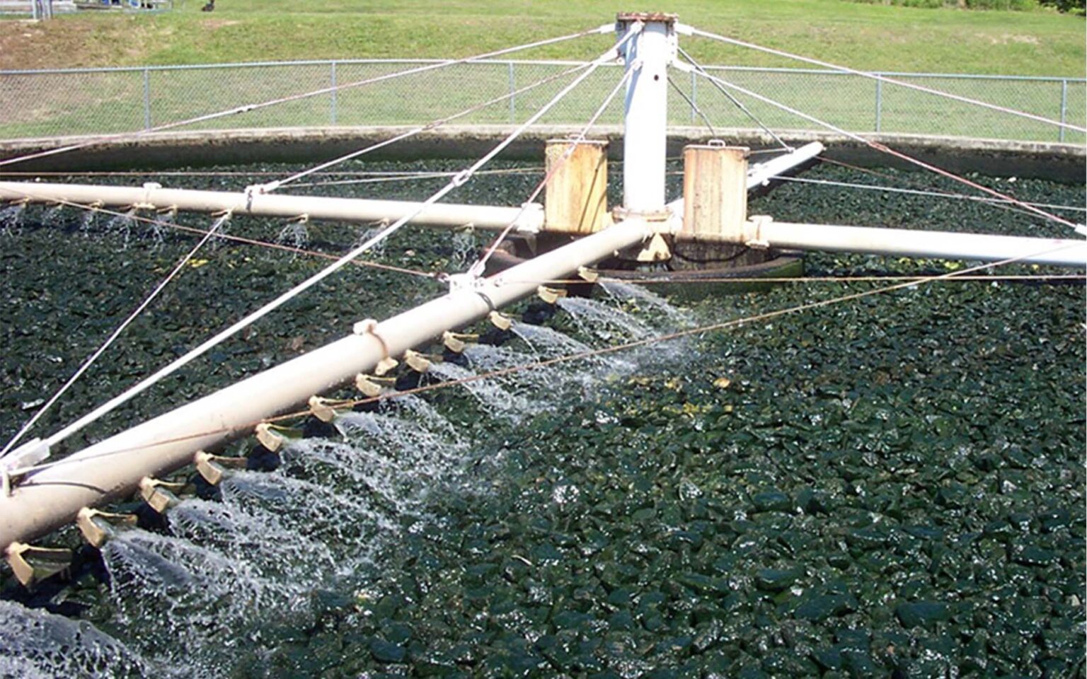 Types of Biological Filters and Their Practical Applications in ...